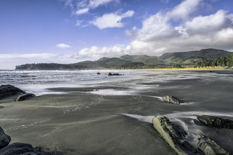 Shi Shi Beach and other beaches welcome you!