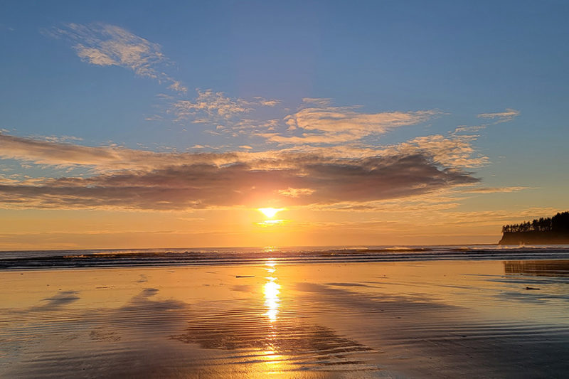 Shi Shi Beach and other beaches welcome you!