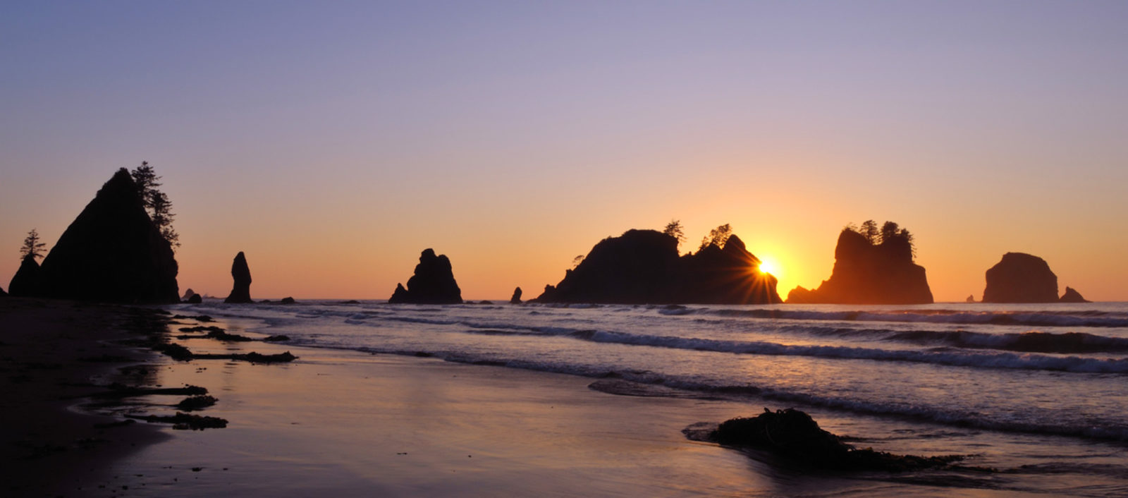 Shi Shi Beach and other beaches welcome you!