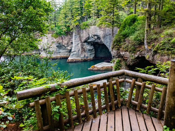 Cape Flattery Trail Info