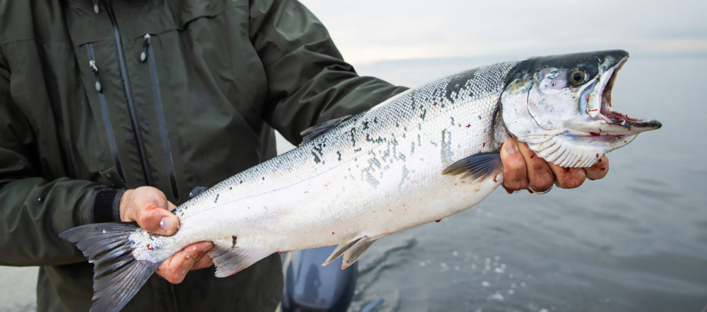 Fishing in Neah Bay