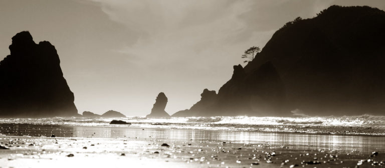 Makah Tribe History from the Makah Tribe